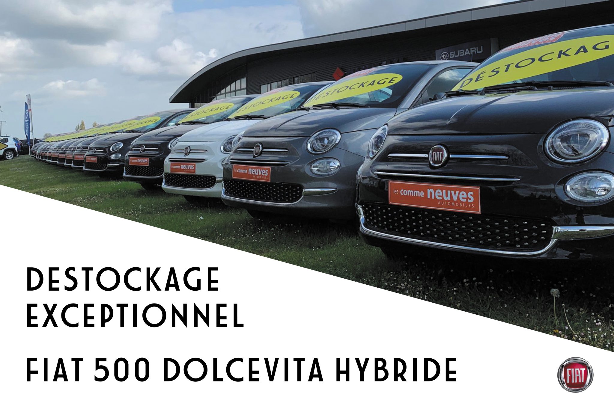 Accueil | Groupe POLMAR